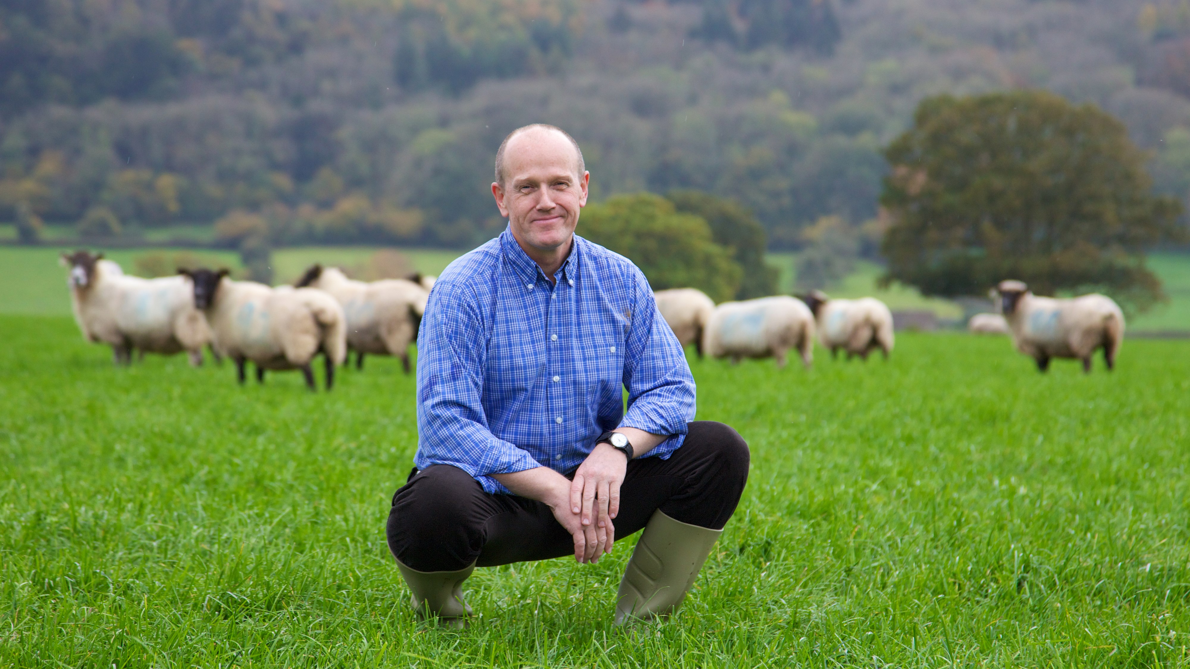 Professor Toby Knowles | Compassion in World Farming International